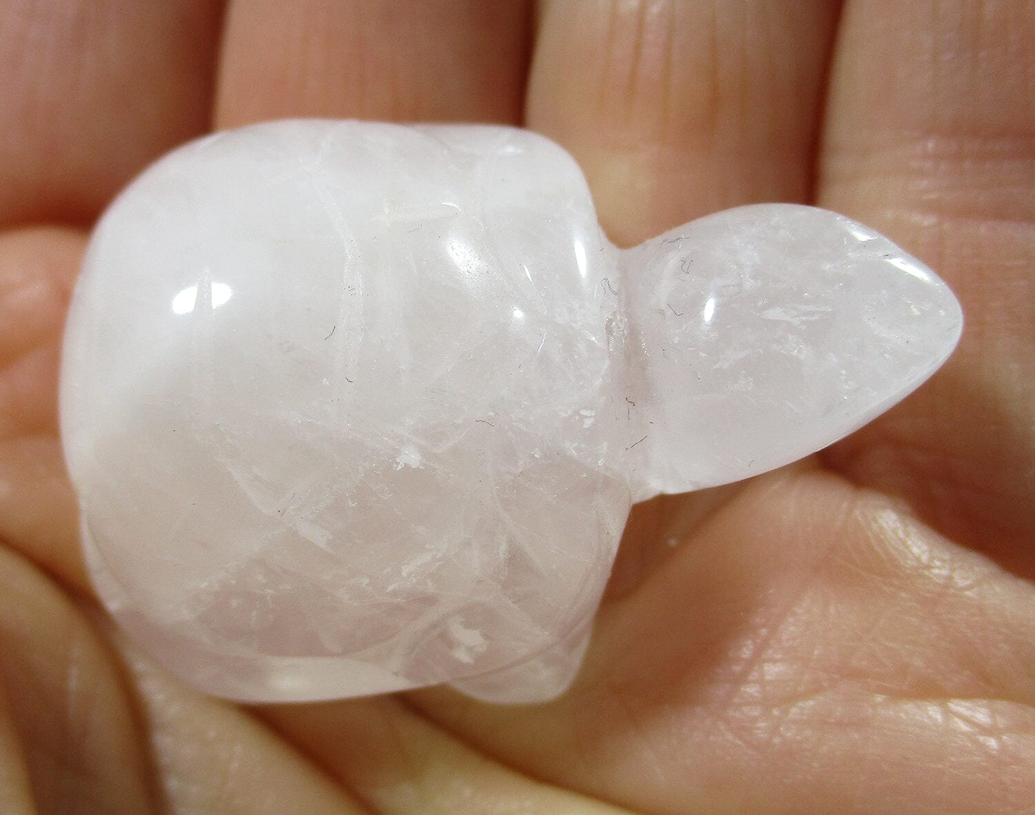 Quartz Tortoise | Crystal Carvings | Carved Crystal Animals | Crystals ...